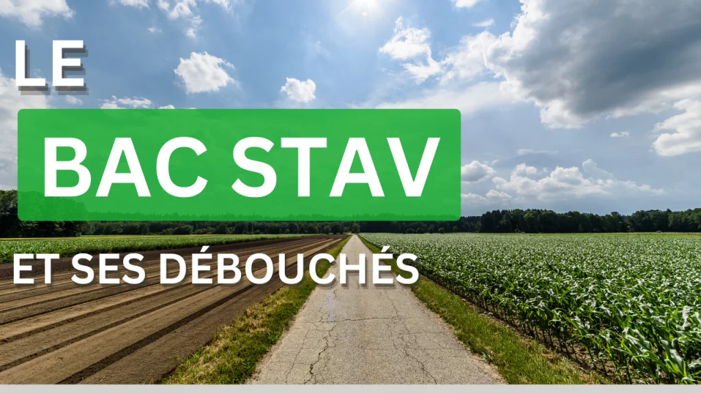 Bac STAV : les débouchés | Olecio